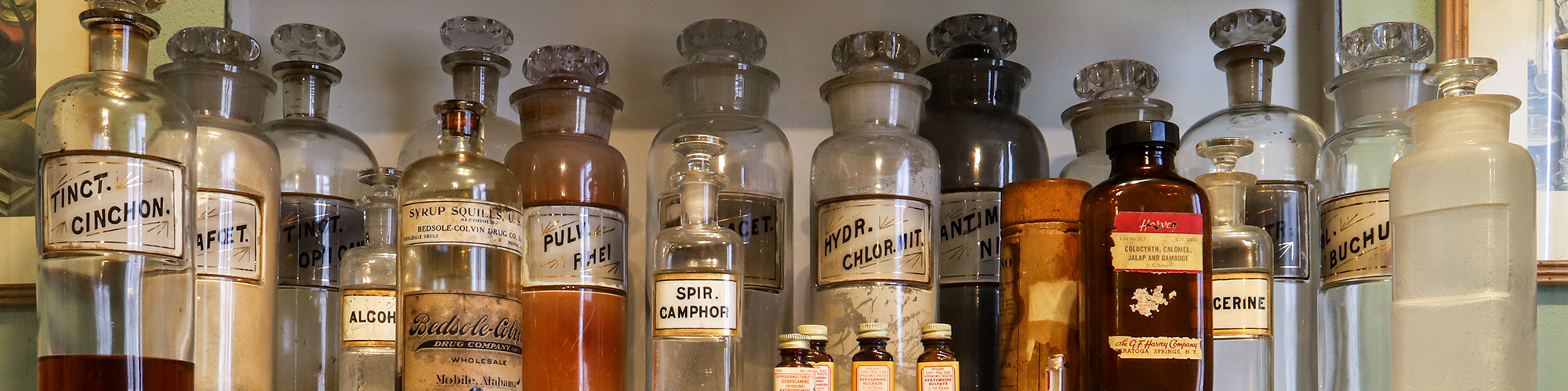 Visit Foley Alabama Attractions | Visit Foley, Alabama